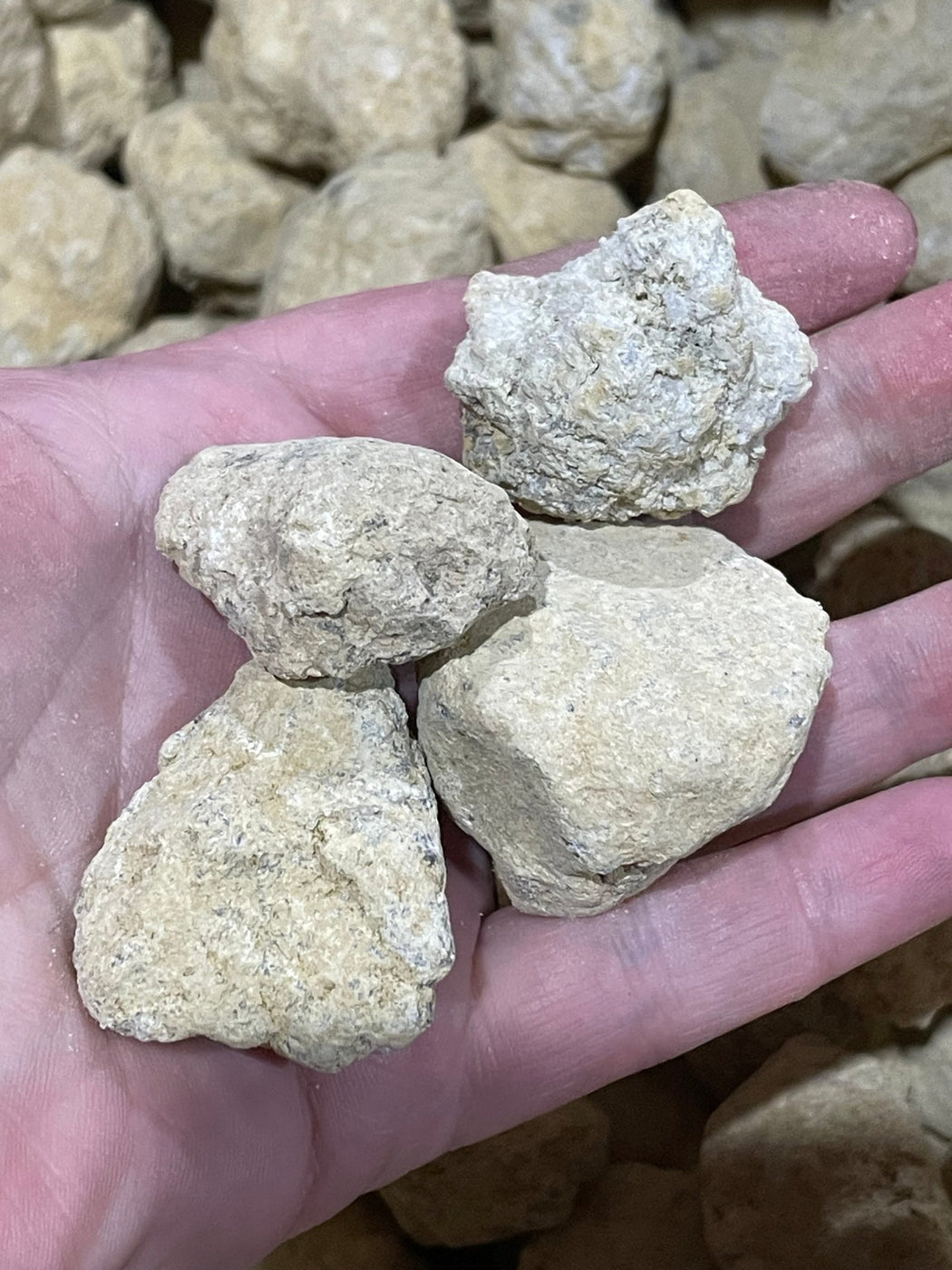 5 pack of Whole Moroccan Geodes CLEARANCE — Dusty Rose Essentials