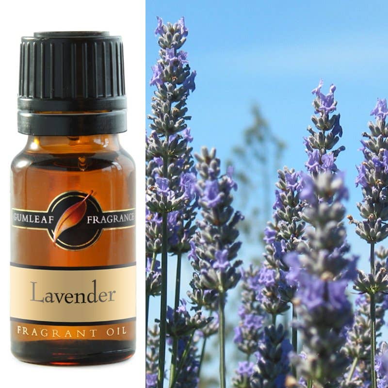 Lavender Fragrance Oil 10ml — Dusty Rose Essentials